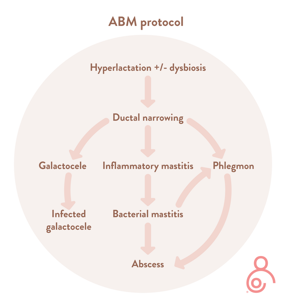 Revised mastitis spectrum treatment protocol – a paradigm shift